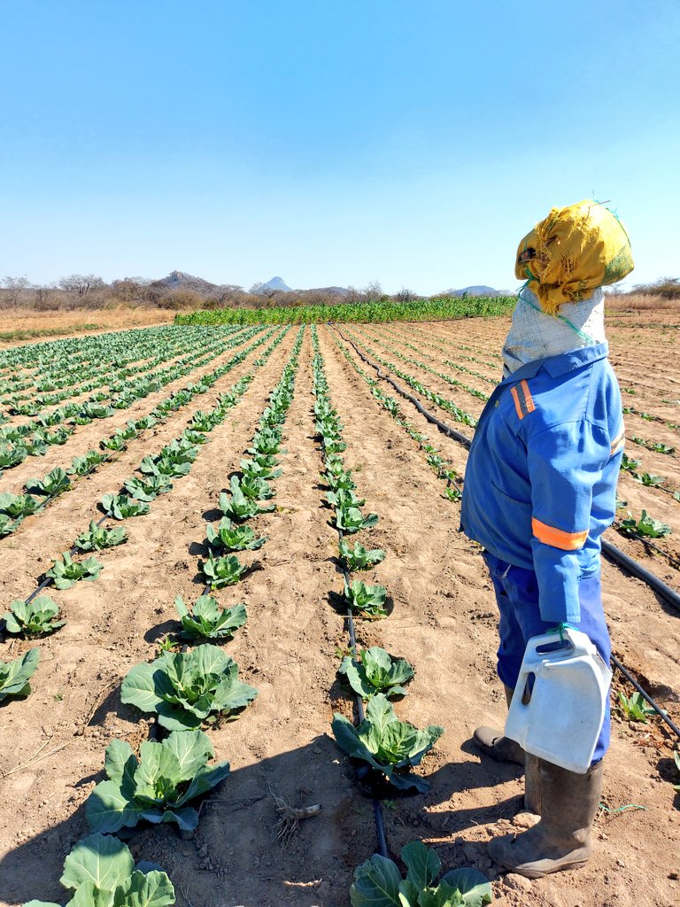 The Silent Crisis in Agriculture: Exploitation of Agricultural ...