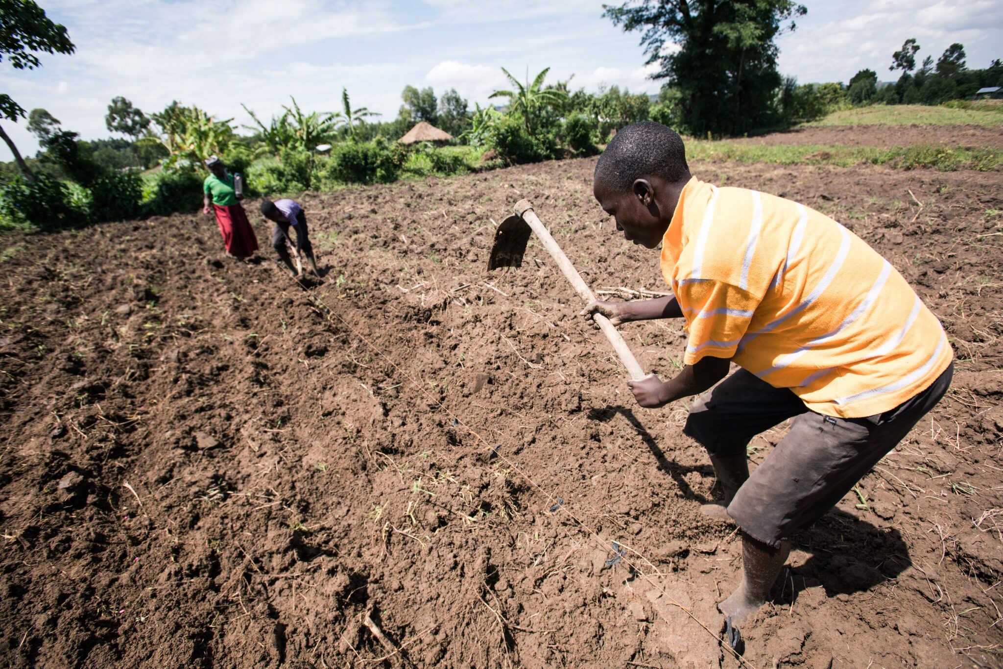 Long Rains Planting Kenya 2026: Weatherman Clears These Counties as ...